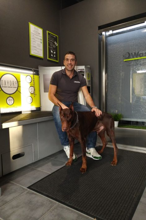 Wash Dog Ravenna – Via Romolo Murri, 33 – Toelettatura Cani